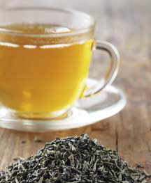 Carolina Woman Magazine